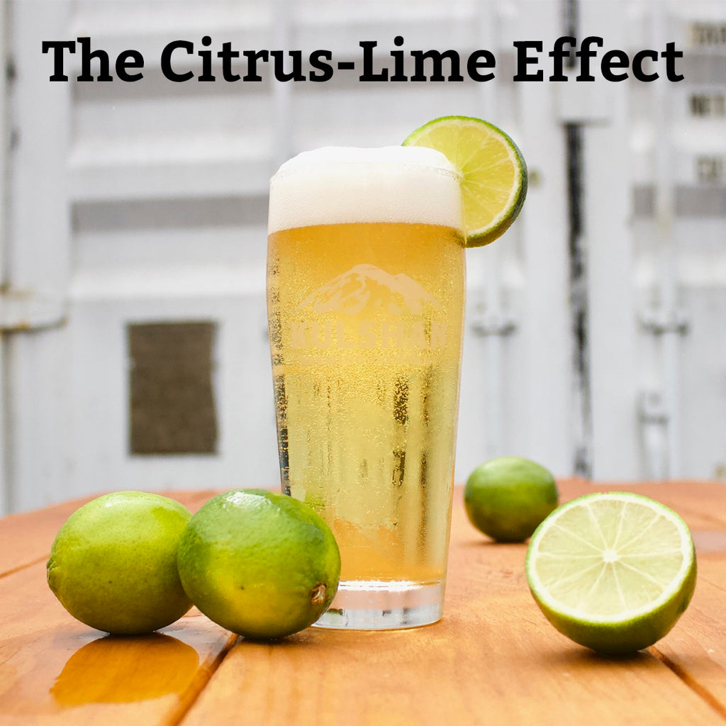 The Citrus-Lime Effect | Bierfrucht