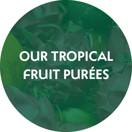 Tropical Fruit Purée – Bierfrucht